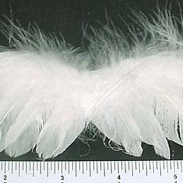 Feather Wings - Etsy