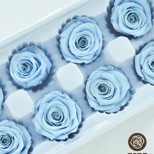 L 4-5cm1.57in-1.96in Blue Dried Flower Real Preserved Flower Rose ...