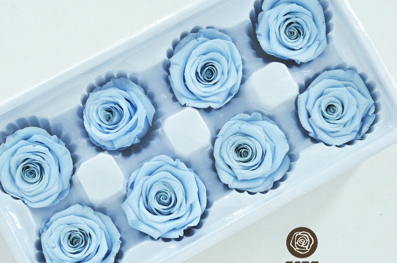 L 4-5cm1.57in-1.96in Blue Dried Flower Real Preserved Flower - Etsy