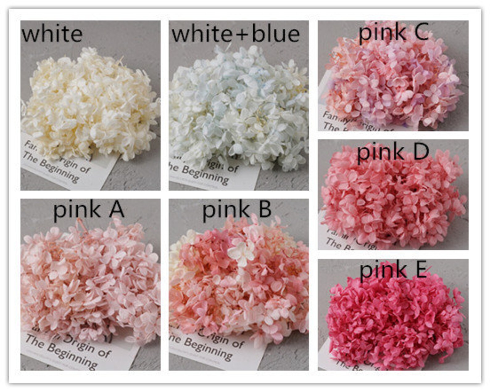 Colorful Dried Flower Real Preserved Flower Preserved - Etsy