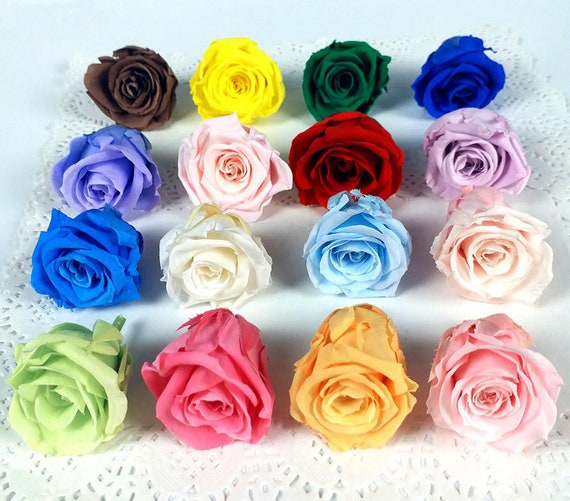 Preserved Roses Floral Supplies Eternal Roses Forever | Etsy