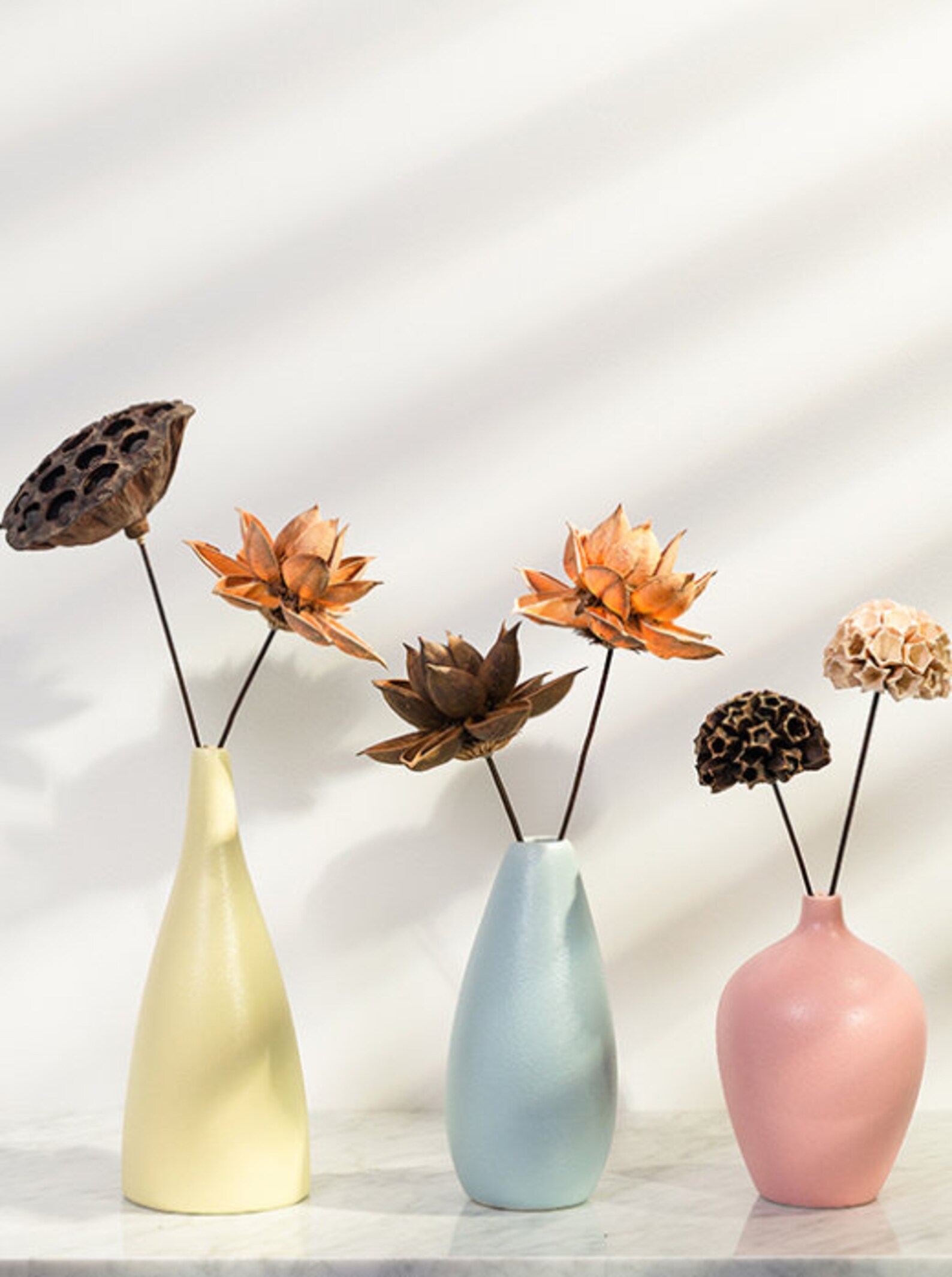 Dried Lotus Pods on Stem,natural Dried Lotus Pods,decoration,dried ...