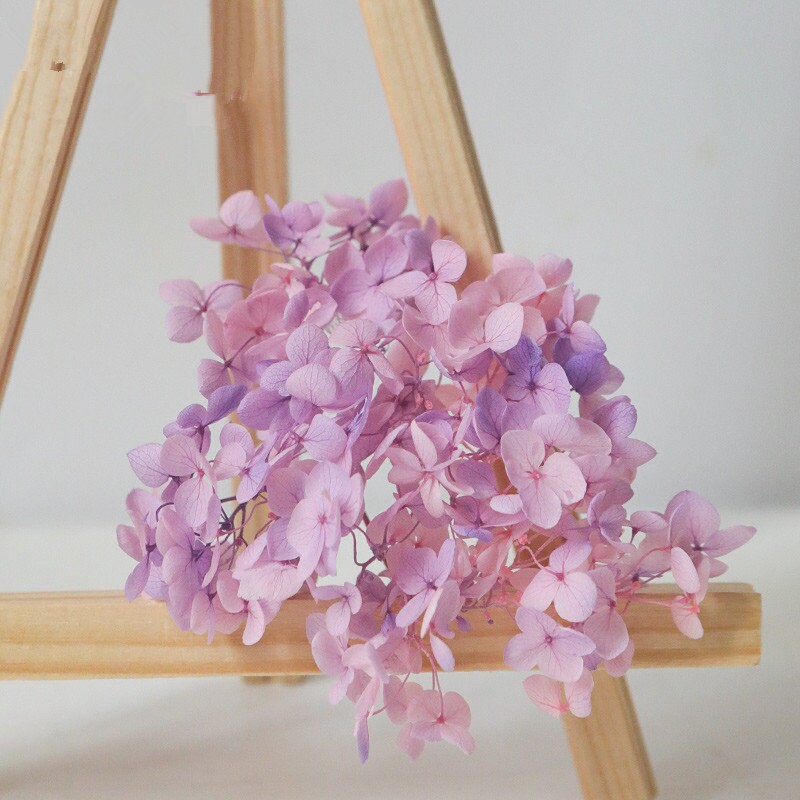 Purple Dried Flower Real Preserved Flower Preserved Hydrangea Small ...