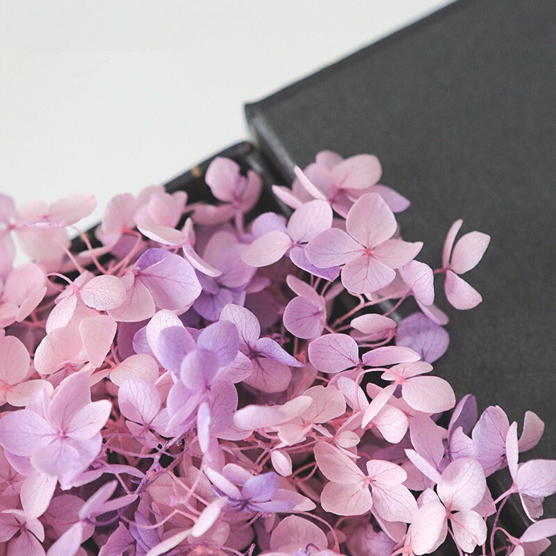Purple Dried Flower Real Preserved Flower Preserved Hydrangea Small ...