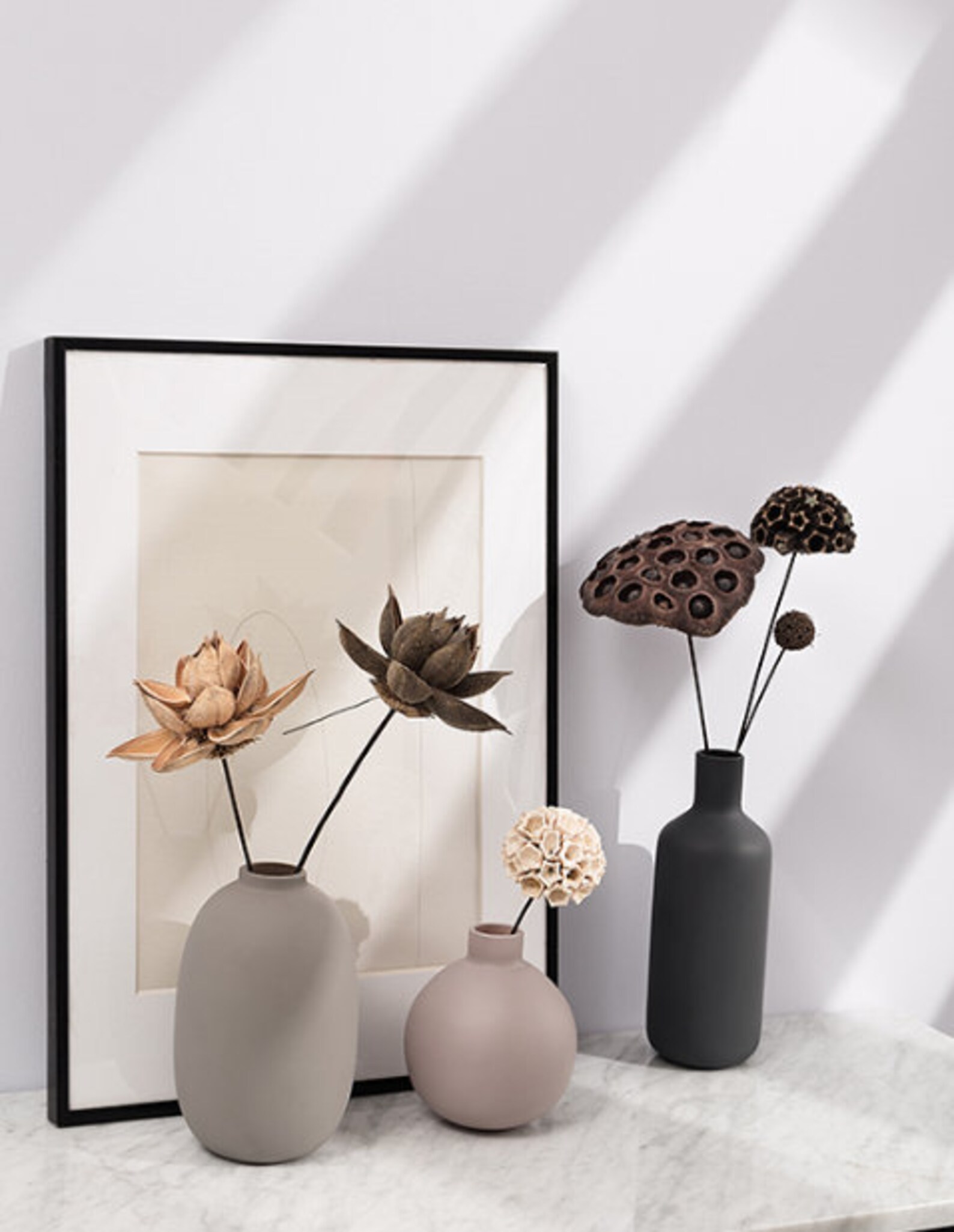 Dried Lotus Pods on Stem,natural Dried Lotus Pods,decoration,dried ...