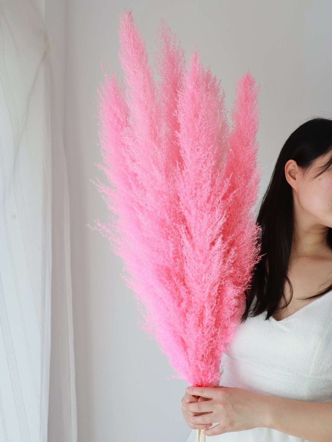 Pink Natural Pampas Grass Dried Flowers, Pampasgrass, Natural Dried ...