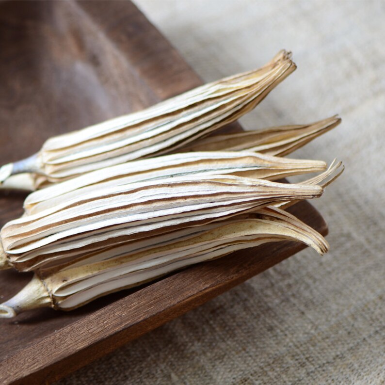 Dried Okra Pods Natural Decor Okra Pods Dried Decornatural - Etsy
