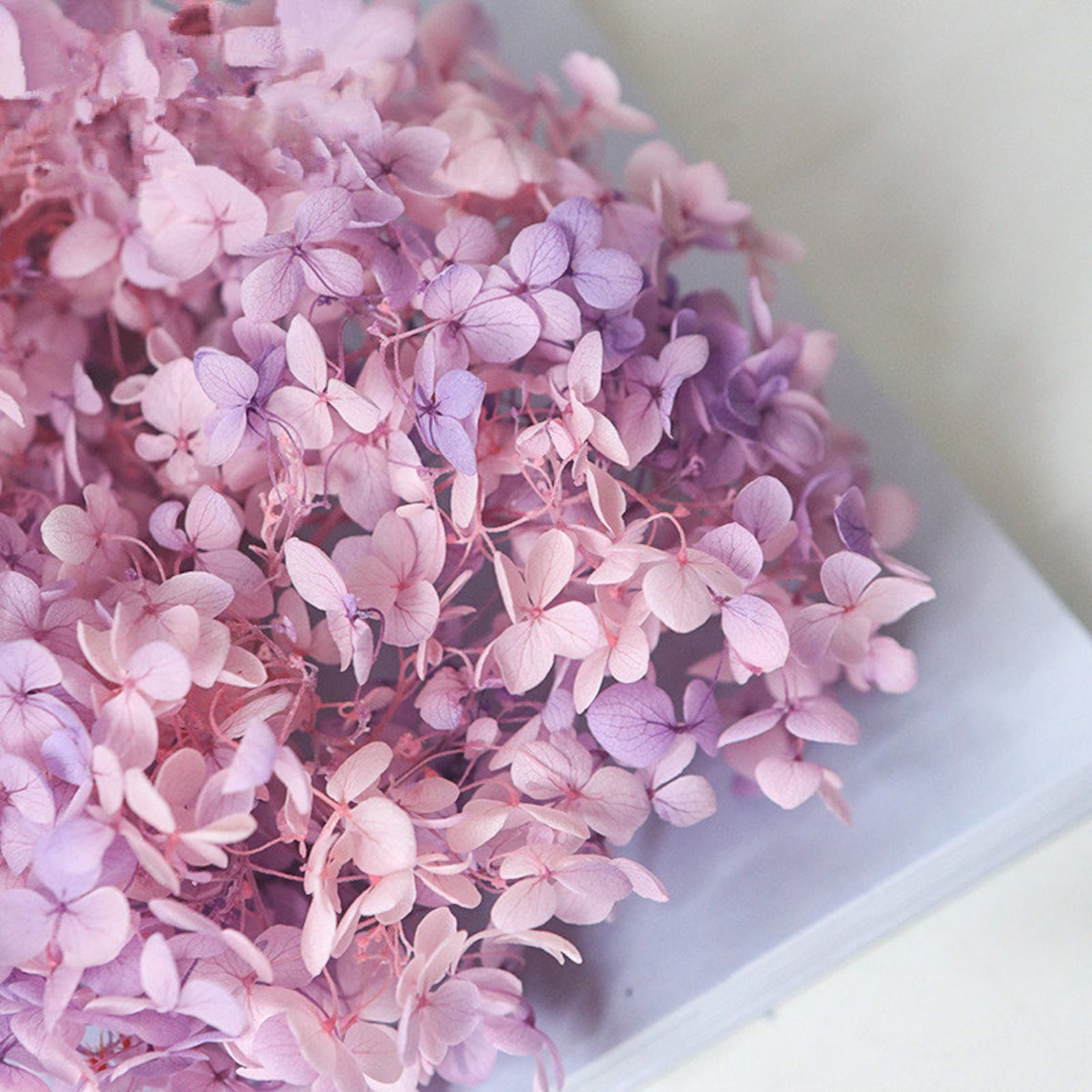 Purple Dried Flower Real Preserved Flower Preserved Hydrangea Small ...