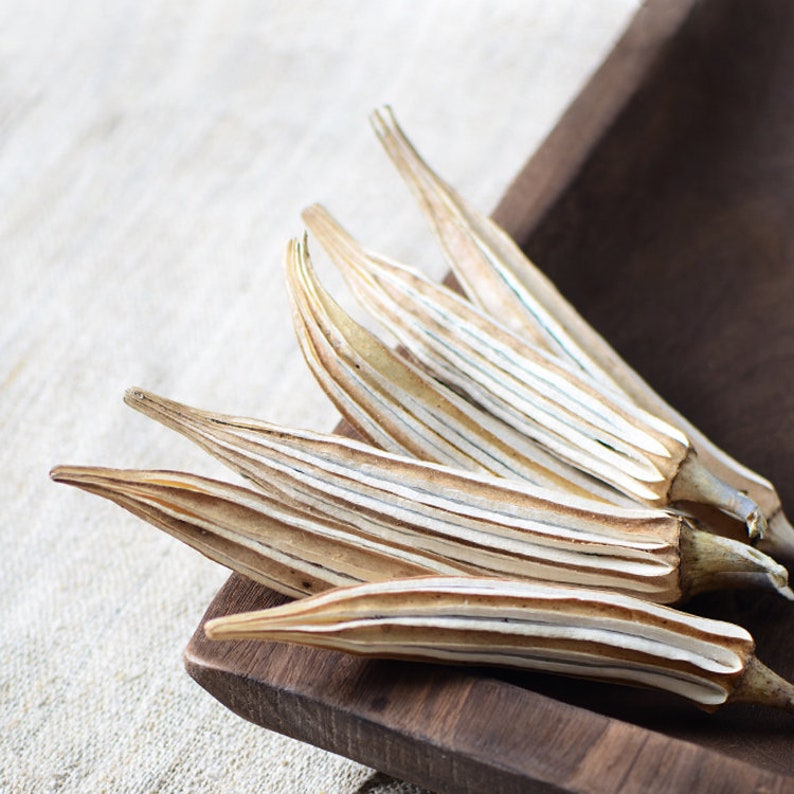 Dried Okra Pods Natural Decor Okra Pods Dried Decornatural - Etsy