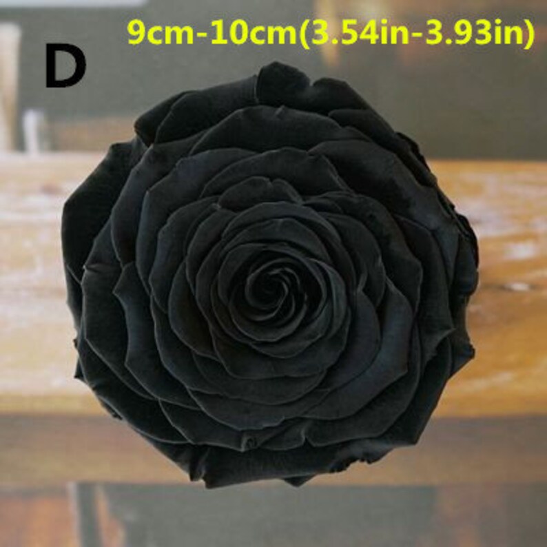 Black Dried Flower Real Preserved Flower Rose Garden Roses - Etsy
