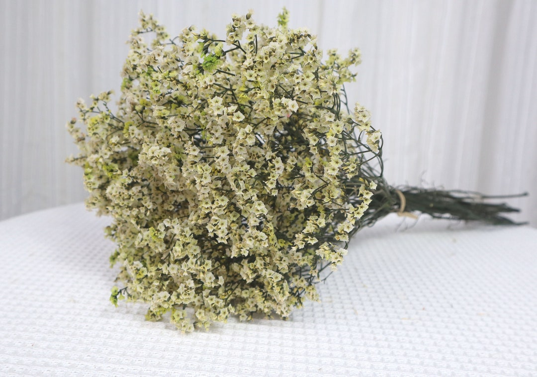 Green Natural Crystal Grass, Lover Grass Flowers, Bouquet Decoration ...
