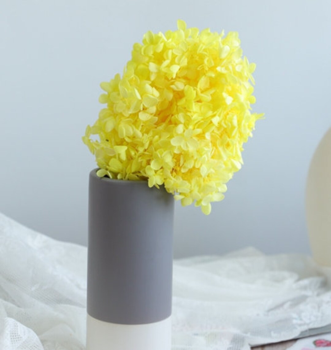 Yellow Preserved Flower Real Preserved Flower Preserved Hydrangea Small ...