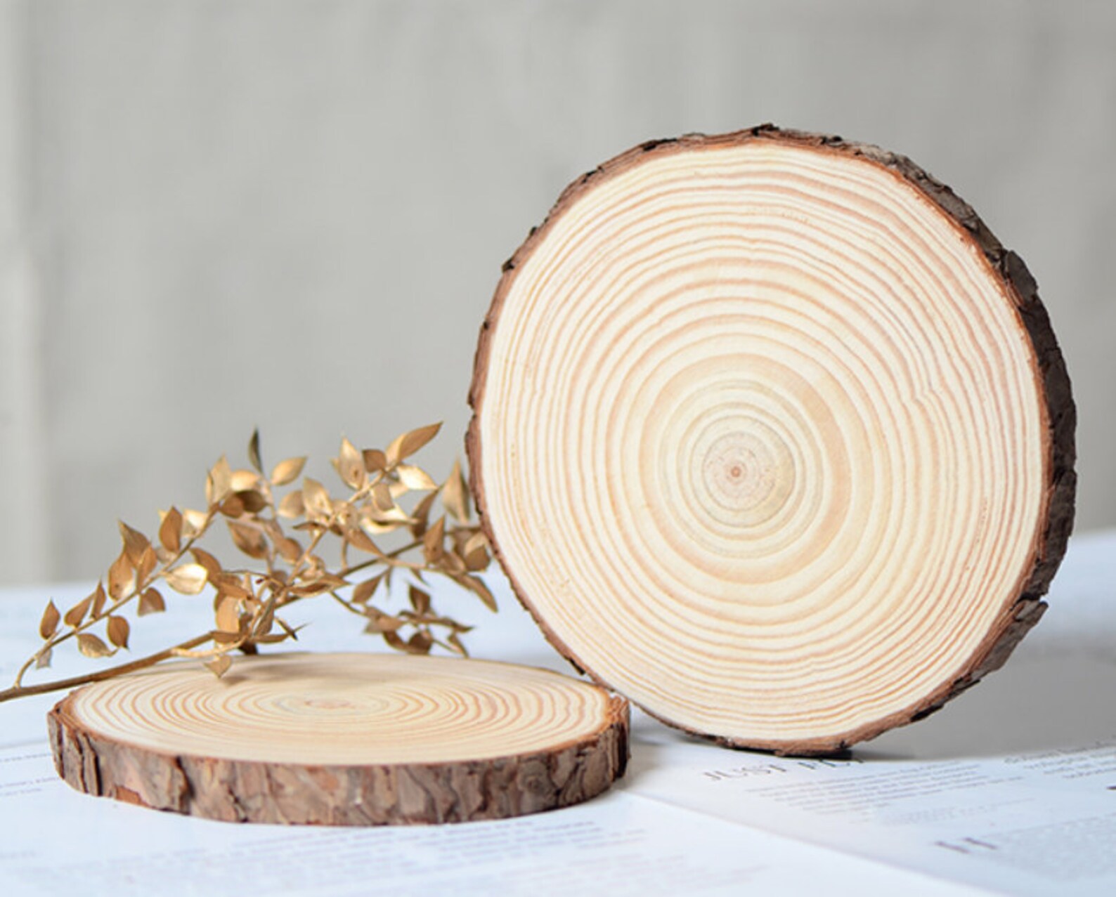 Round wood slices wood piece background wall decoration wood | Etsy