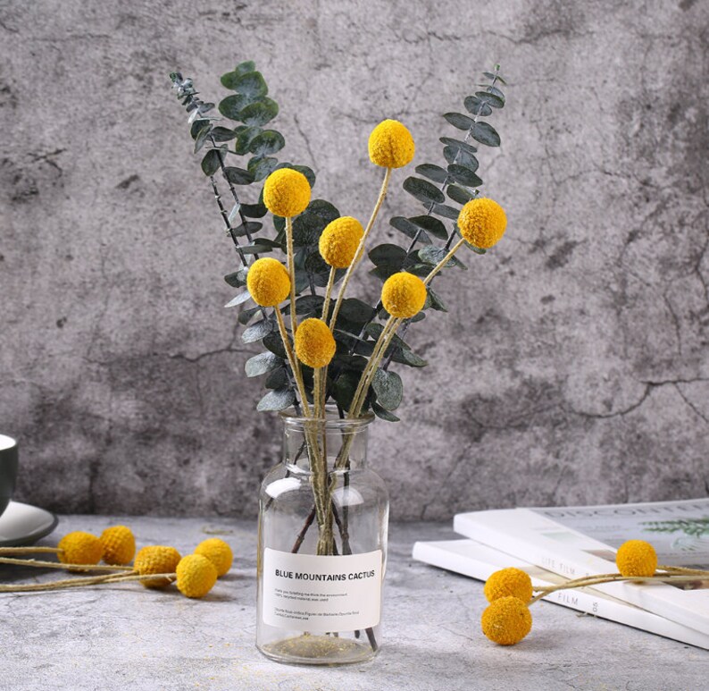 10/20/30 Stems Dried Billy Ball Dry Craspedia, Golden Ball Billy Buttons Dried Flower Floral ...