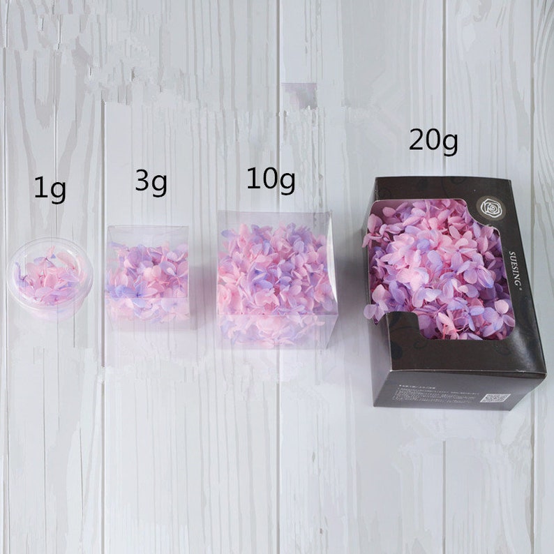 White Dried Flower Real Preserved Flower Preserved Hydrangea | Etsy