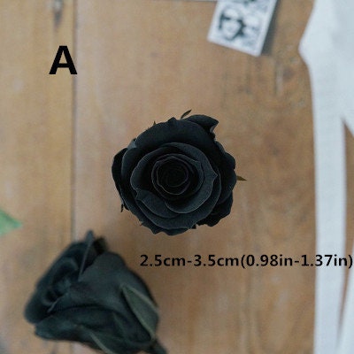 Black Dried Flower Real Preserved Flower Rose Garden Roses - Etsy