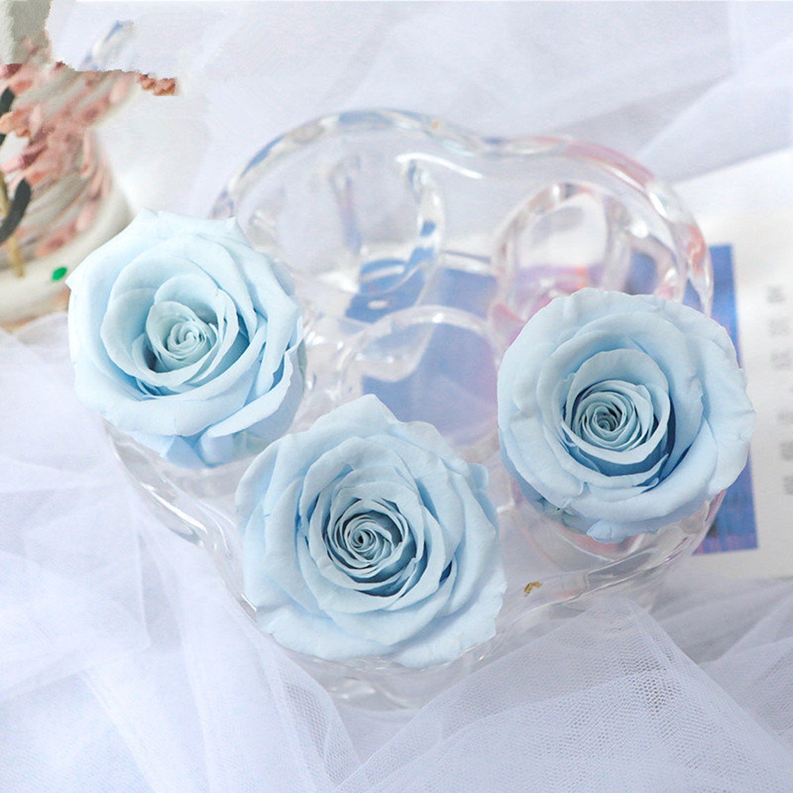 L 4-5cm1.57in-1.96in Blue Dried Flower Real Preserved Flower - Etsy