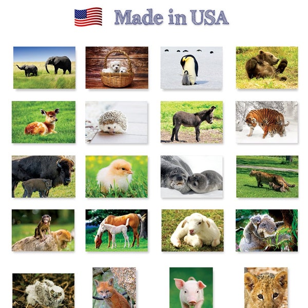 Postcard Post Card - Etsy