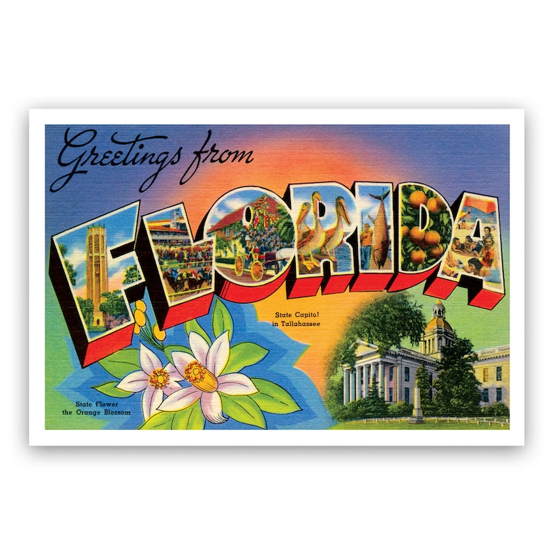 FLORIDA Postcard Set of 20 Postcards. FL Post Card Variety Pack ...