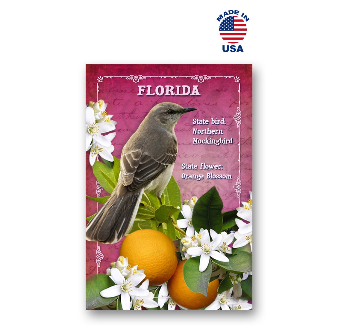 U.S. STATE BIRDS and Flowers Set of 50 Postcards. United States Bird ...
