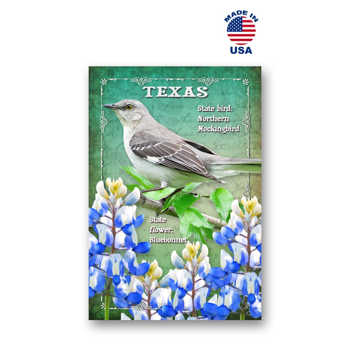 U.S. STATE BIRDS and Flowers Set of 50 Postcards. United - Etsy