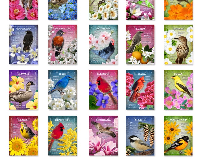 U.S. STATE BIRDS and Flowers Set of 50 Postcards. United States Bird ...