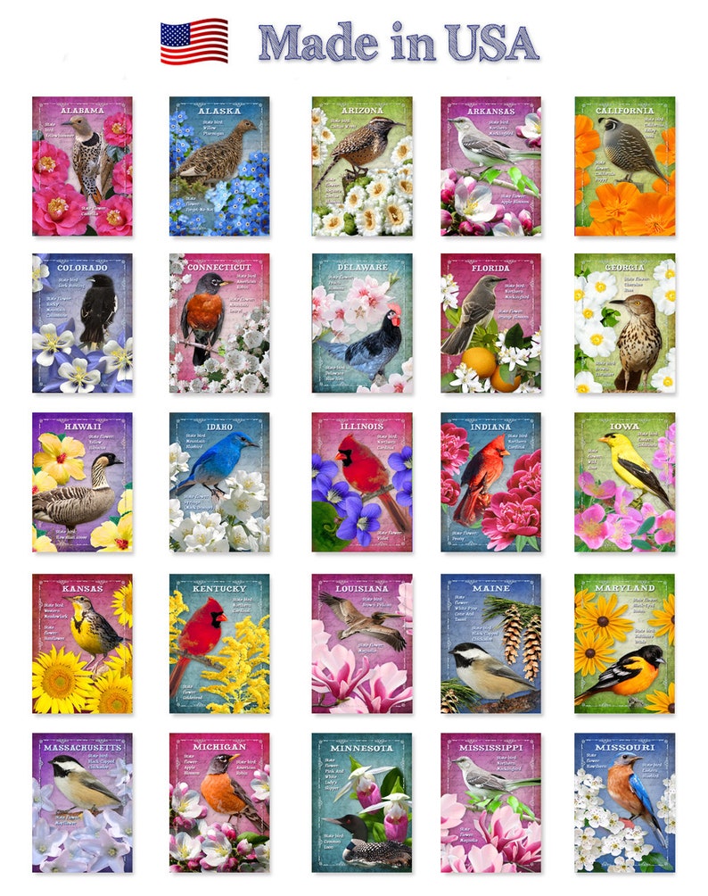 U.S. STATE BIRDS and Flowers Set of 50 Postcards. United States Bird ...