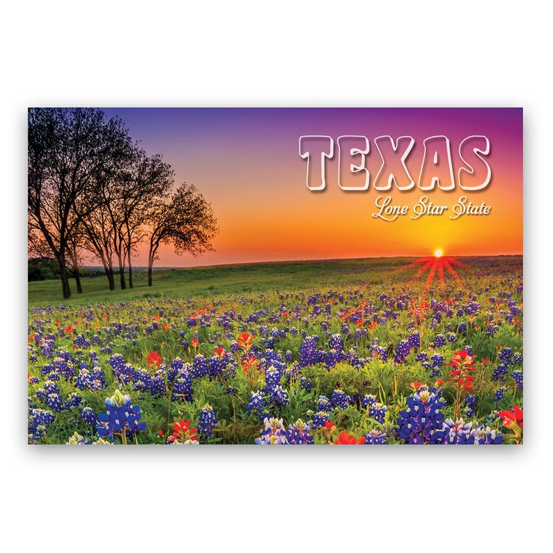 TEXAS Postcard Set of 20 Postcards. TX Post Card Variety Pack - Etsy