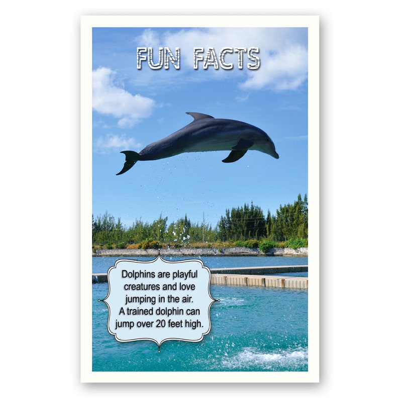 FUN FACTS Postcard Set of 20. Post Card Variety Pack With Trivia and ...