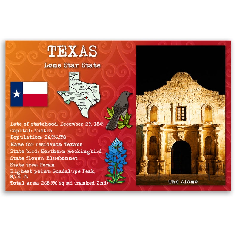 STATE FACTS Postcard Set of 50 Postcards. All 50 US States Symbols and ...