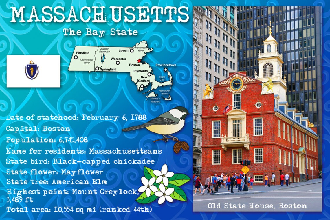 STATE FACTS Postcard Set of 50 Postcards. All 50 US States Symbols and ...