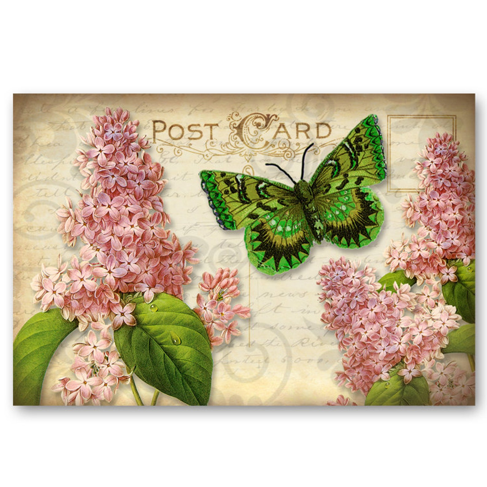 VICTORIAN FLOWERS Postcard Set of 20 Postcards. Artistic Flower in a ...