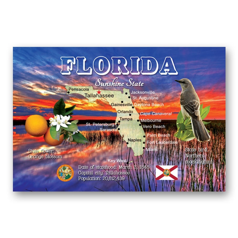 U.S. State Map Postcard Set of 50. Postcards Variety Pack. Post Cards ...