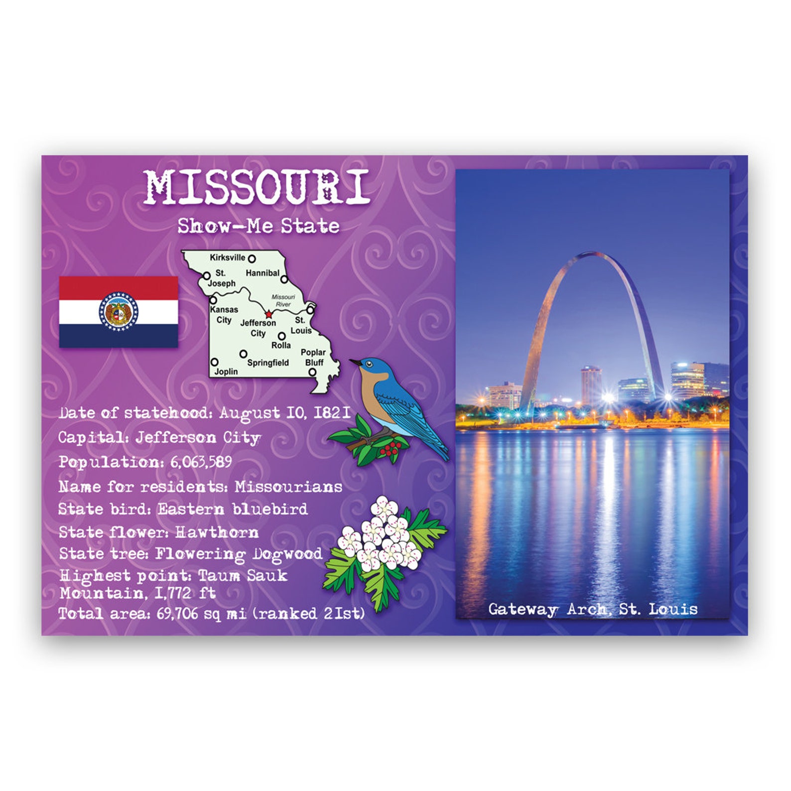 STATE FACTS Postcard Set of 50 Postcards. All 50 US States Symbols and ...