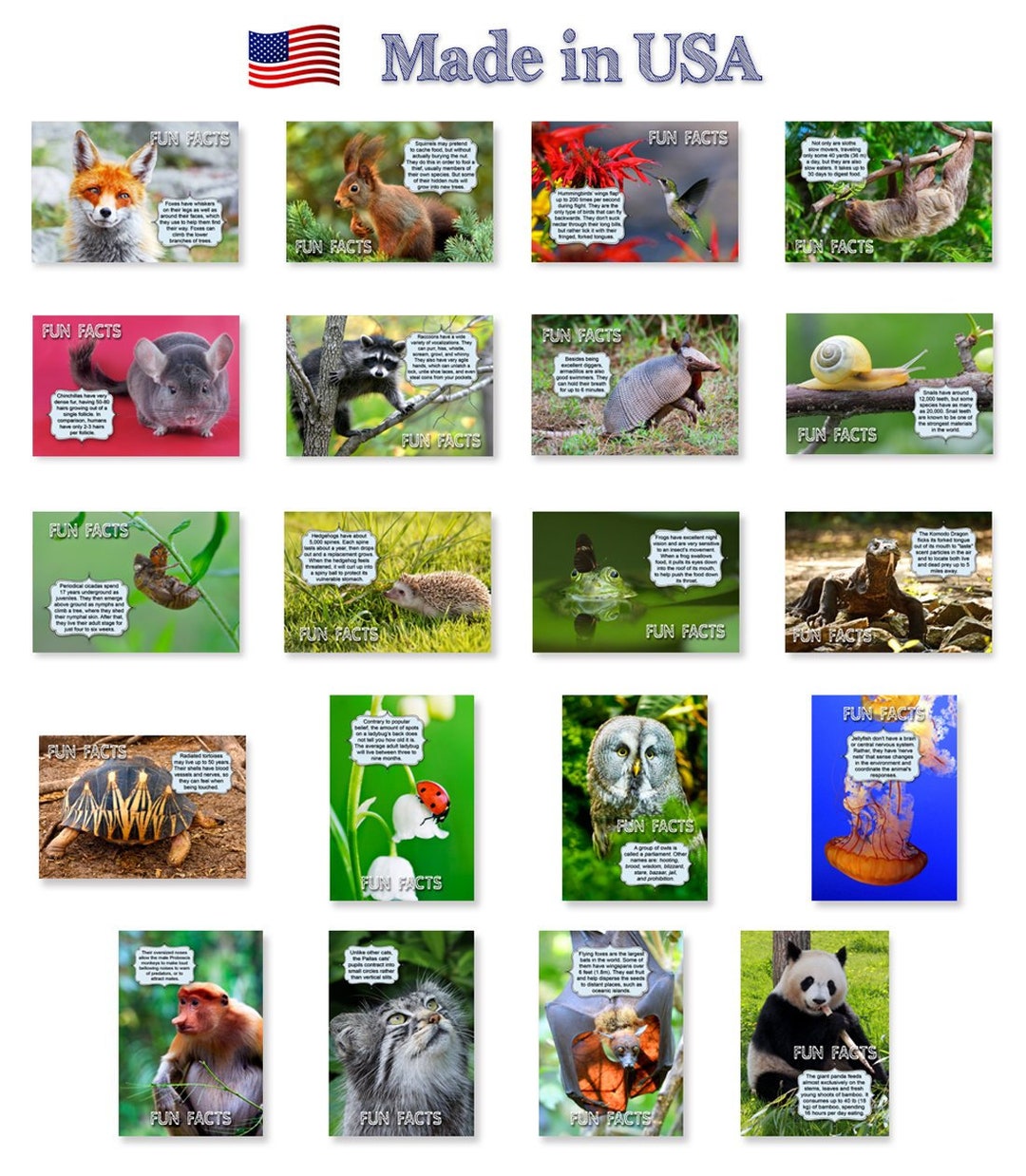ANIMALS Fun Facts Postcard Set of 20 Postcards. Animal and Bird Post ...