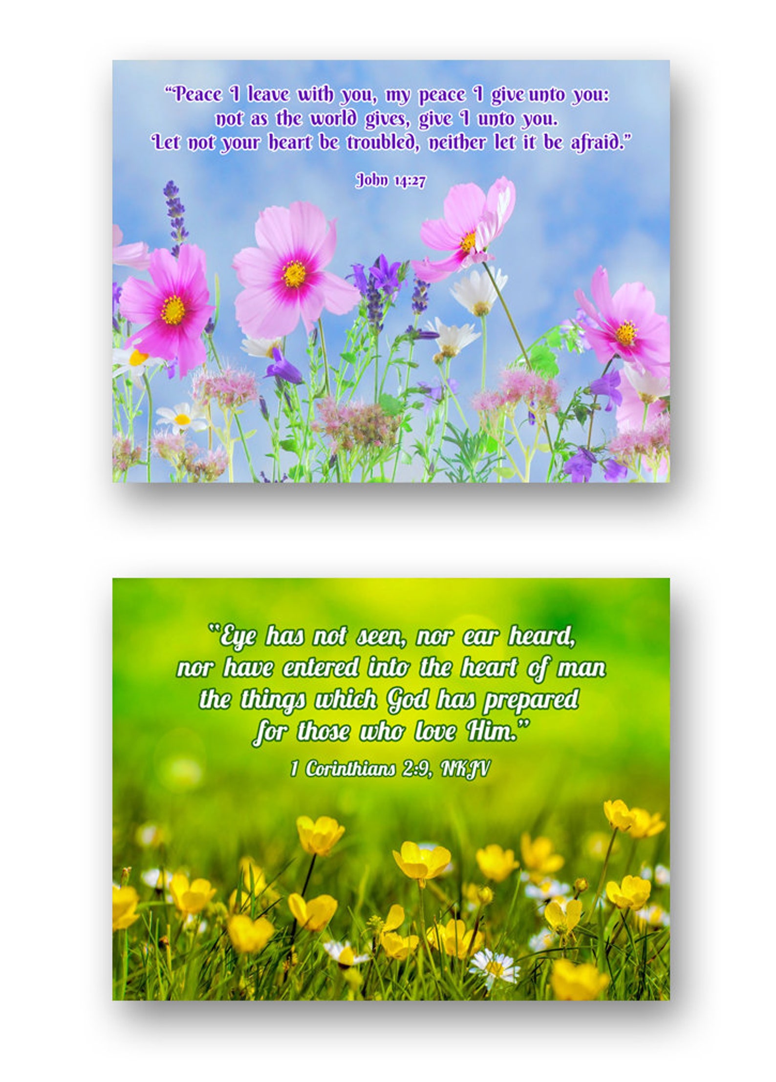 BIBLE QUOTES Note Card Set of 10. Blank Inside. Book Theme Variety Pack ...
