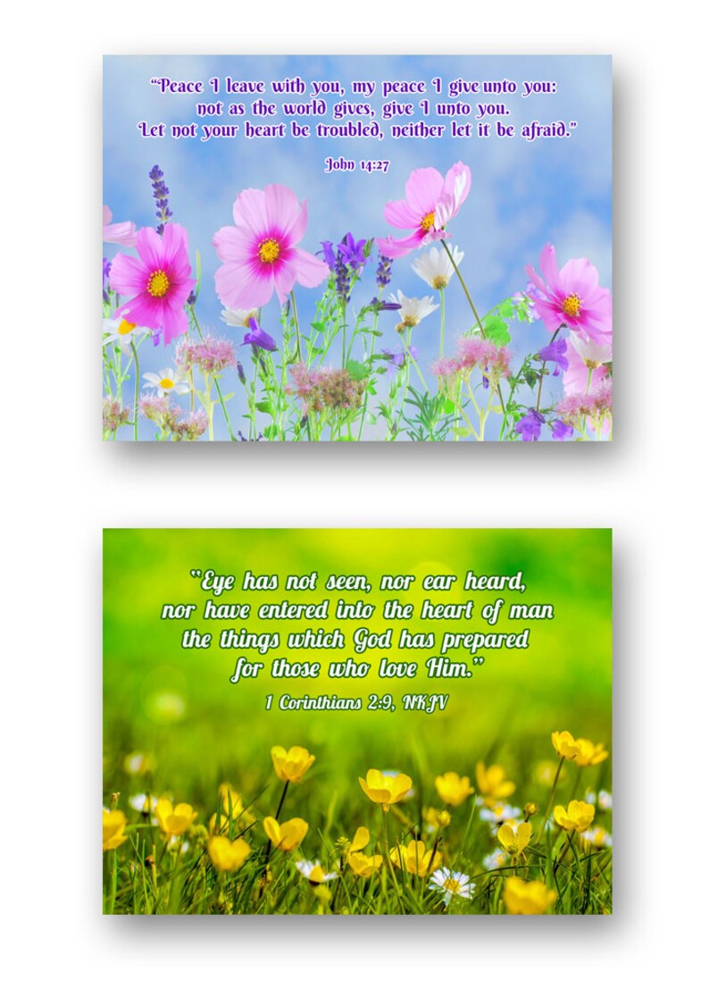 BIBLE QUOTES Note Card Set of 10. Blank Inside. Book Theme Variety Pack ...