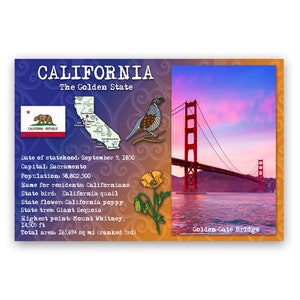 STATE FACTS Postcard Set of 50 Postcards. All 50 US States Symbols and ...