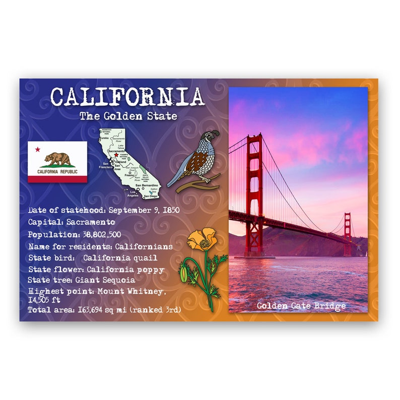 STATE FACTS Postcard Set of 50 Postcards. All 50 US States Symbols and ...