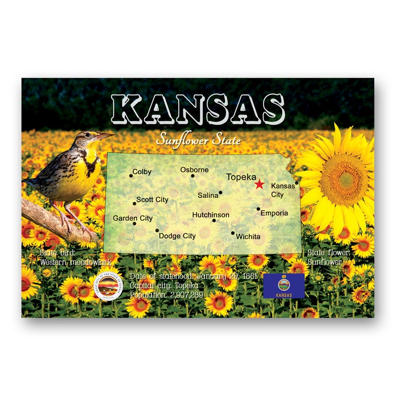 U.S. State Map Postcard Set of 50. Postcards Variety Pack. Post Cards ...