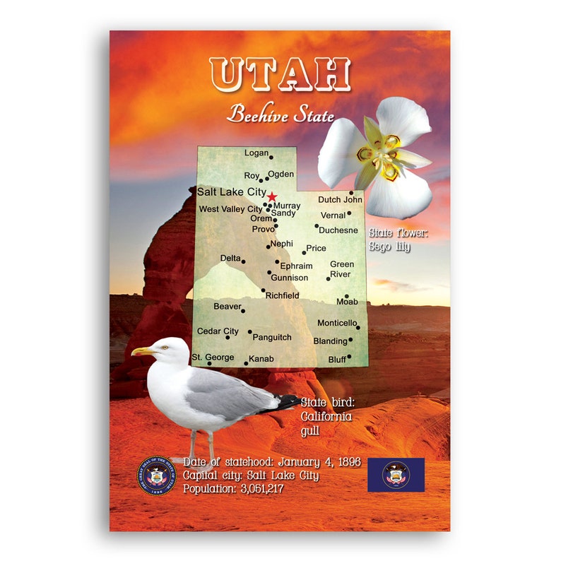 U.S. State Map Postcard Set of 50. Postcards Variety Pack. Post Cards ...