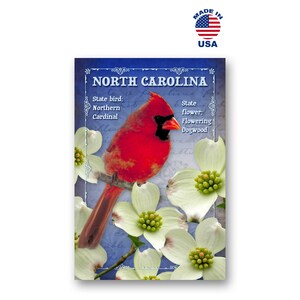 U.S. STATE BIRDS and Flowers Set of 50 Postcards. United States Bird ...