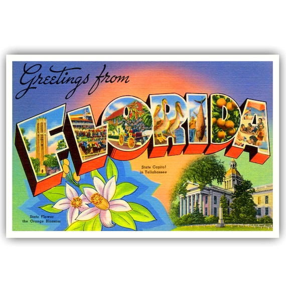 GREETINGS From FLORIDA Vintage Reprint Postcard Set of 20 - Etsy