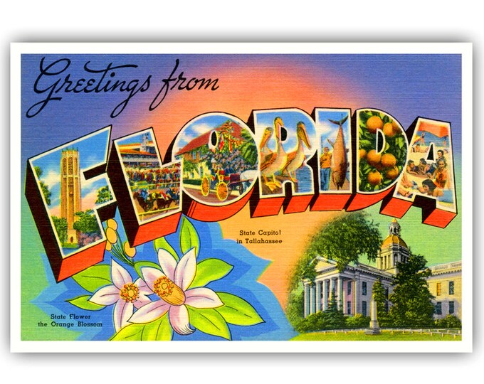 GREETINGS From FLORIDA Vintage Reprint Postcard Set of 20 Identical ...