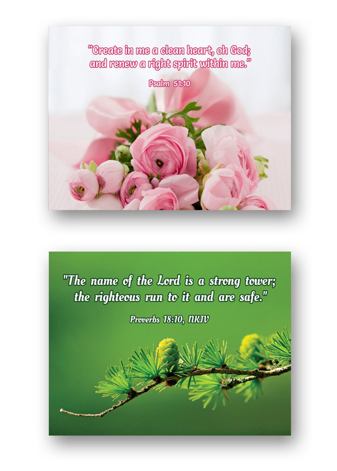BIBLE QUOTES Note Card Set of 10. Blank Inside. Book Theme Variety Pack ...