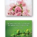 BIBLE QUOTES Note Card Set of 10. Blank Inside. Book Theme Variety Pack ...