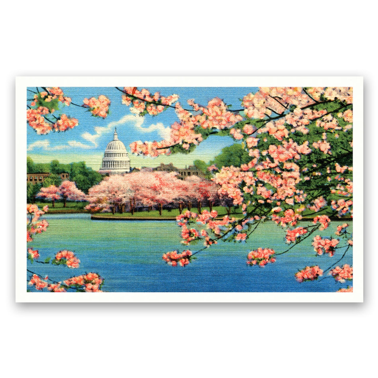 WASHINGTON D.C. VINTAGE REPRINTS Postcard Set of 20 Postcards. Set of ...