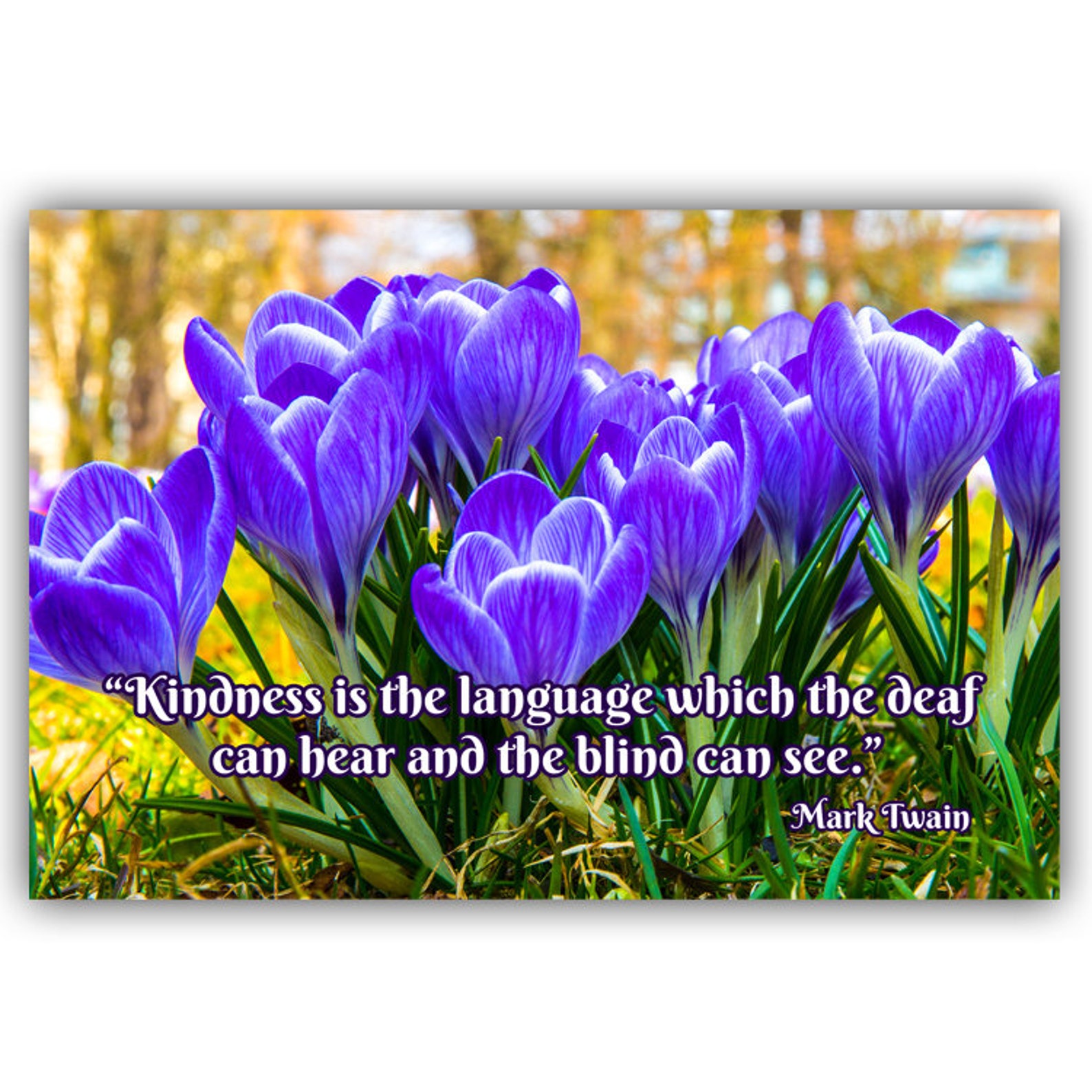 QUOTES Postcard Set of 20. Post Card Variety Pack With Famous Quote ...