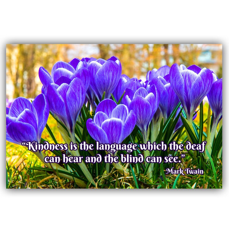 QUOTES Postcard Set of 20. Post Card Variety Pack With Famous Quote ...