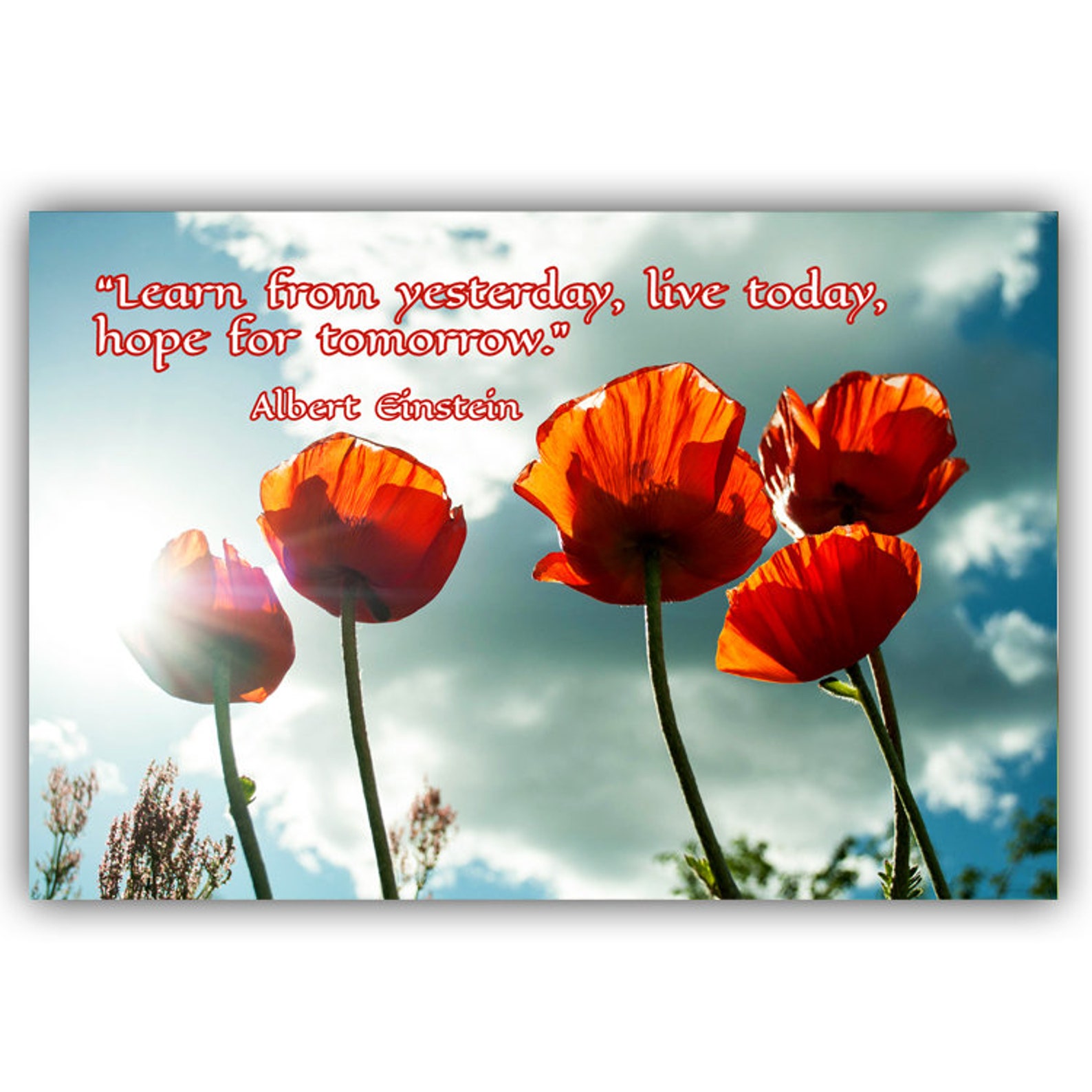 QUOTES Postcard Set of 20. Post Card Variety Pack With Famous Quote ...